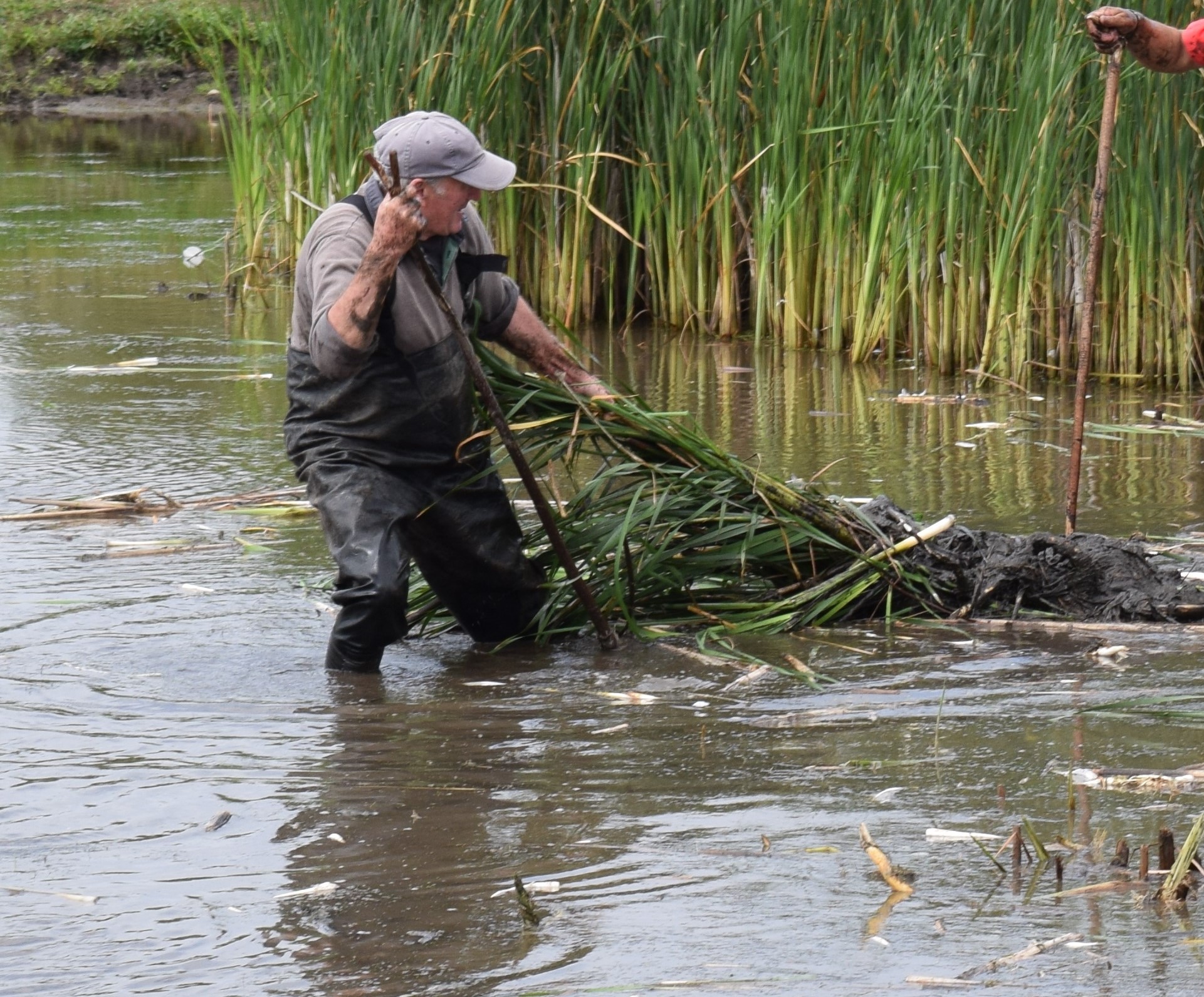 Gallery | Clevedon Wildfowling Association